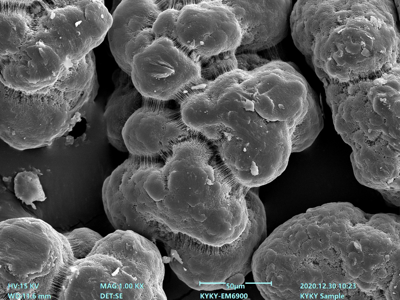 KYKY-EM6900_扫描电镜及附属设备_产品中心_中科科仪