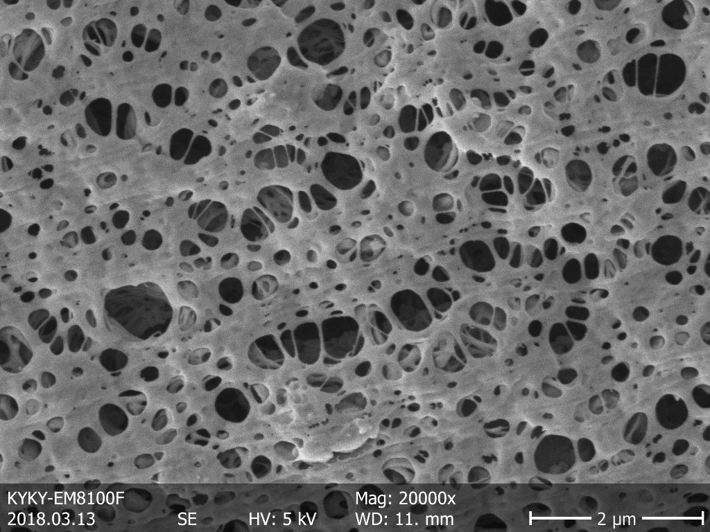 KYKY-EM8100_扫描电镜及附属设备_产品中心_中科科仪