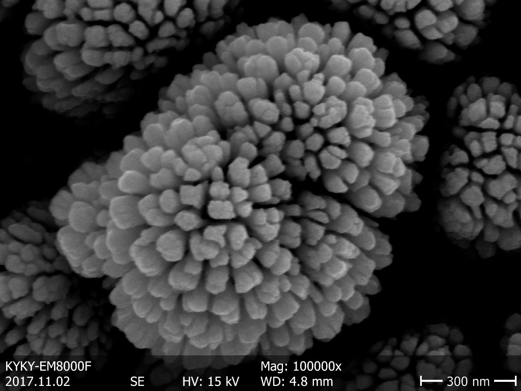 KYKY-EM8000_扫描电镜及附属设备_产品中心_中科科仪