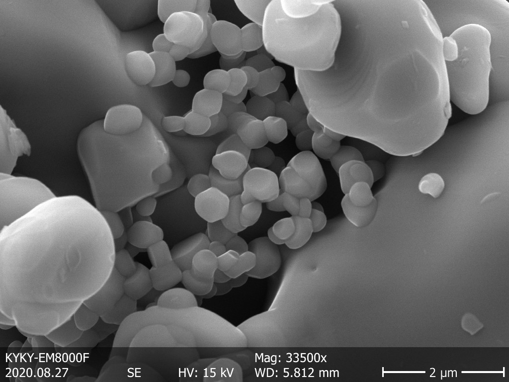 KYKY-EM8000_扫描电镜及附属设备_产品中心_中科科仪